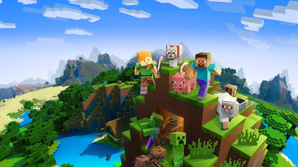 Minecraft - Nintendo Switch – BIRRIAGAMERS